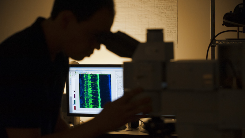 Bioinformatics & Computational Biology, Ph.D. - University of Idaho Bioinformatics & Computational Biology, Ph.D. - University of Idaho